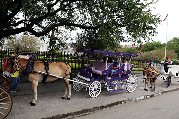 Jackson Square | West Coast Living Canada